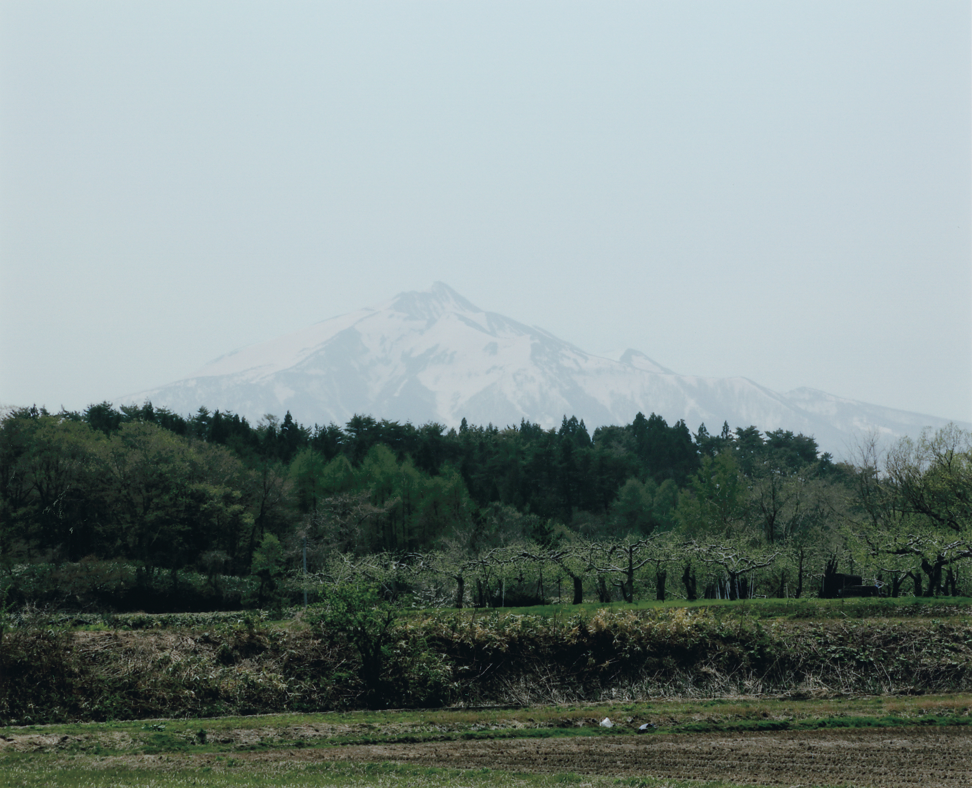 Jomon FieldworkSherds of Wisdom - PAPERSKY