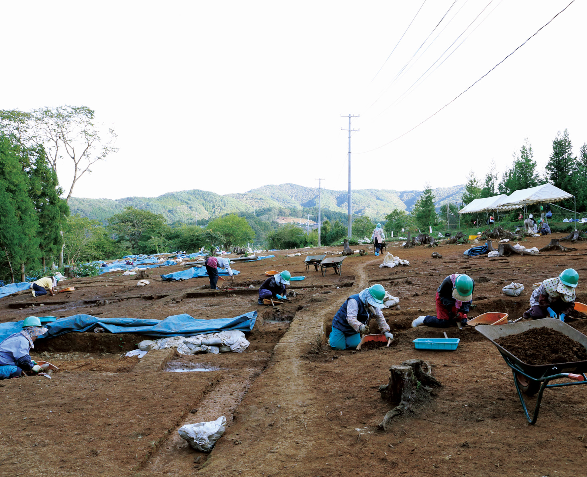 Jomon Fieldwork賢者の欠片 - PAPERSKY