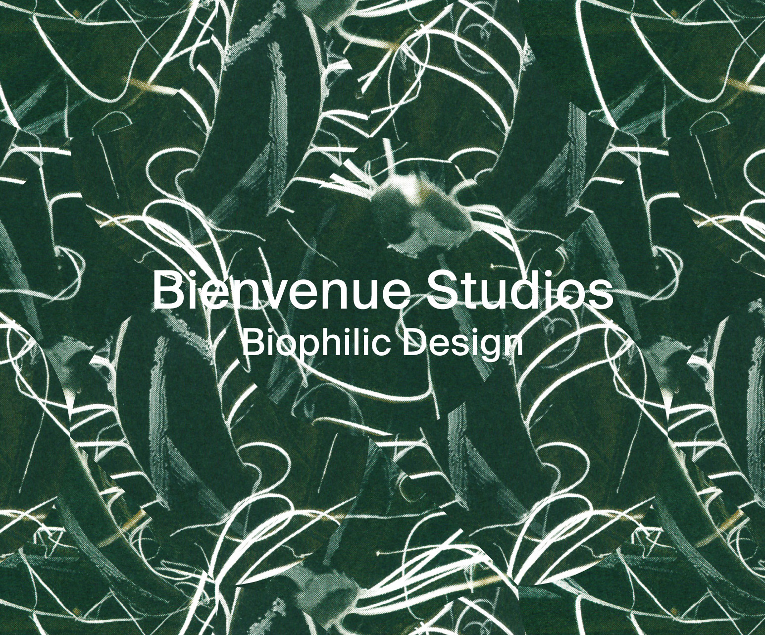 Bienvenue Studios exhibitionDesign from Nature - PAPERSKY