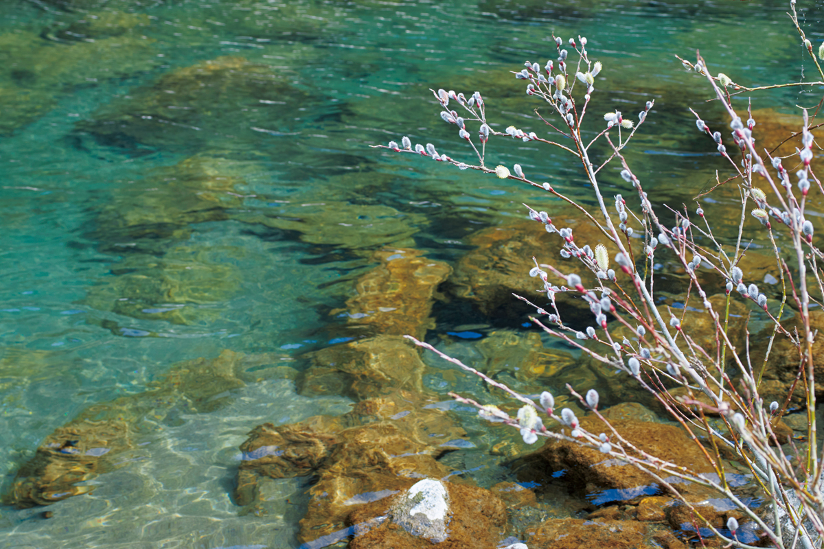 Teva®を履いて巡る、これからの暮らし方 - PAPERSKY