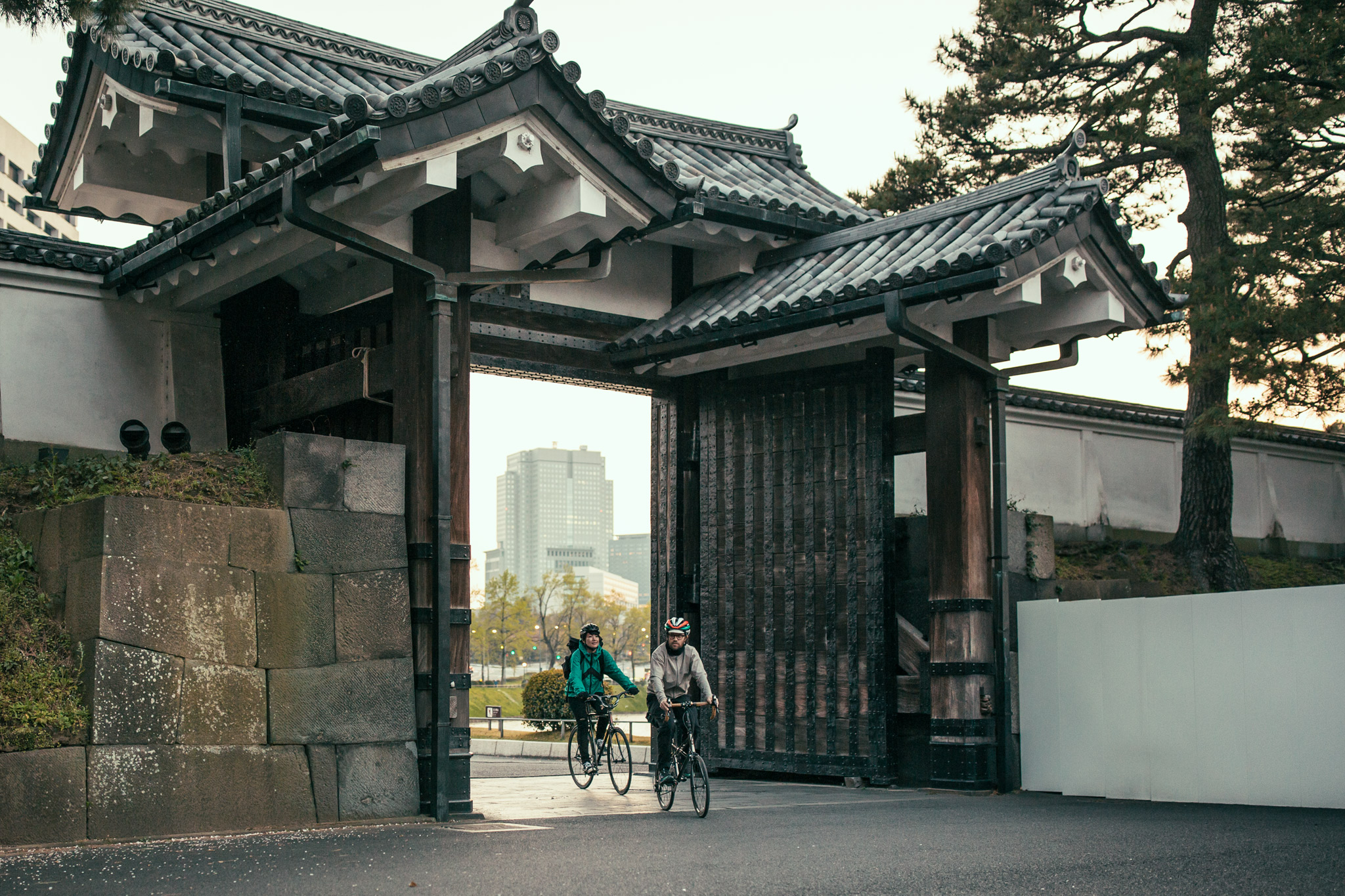 TOKYO TREE TREK （TTT） - PAPERSKY