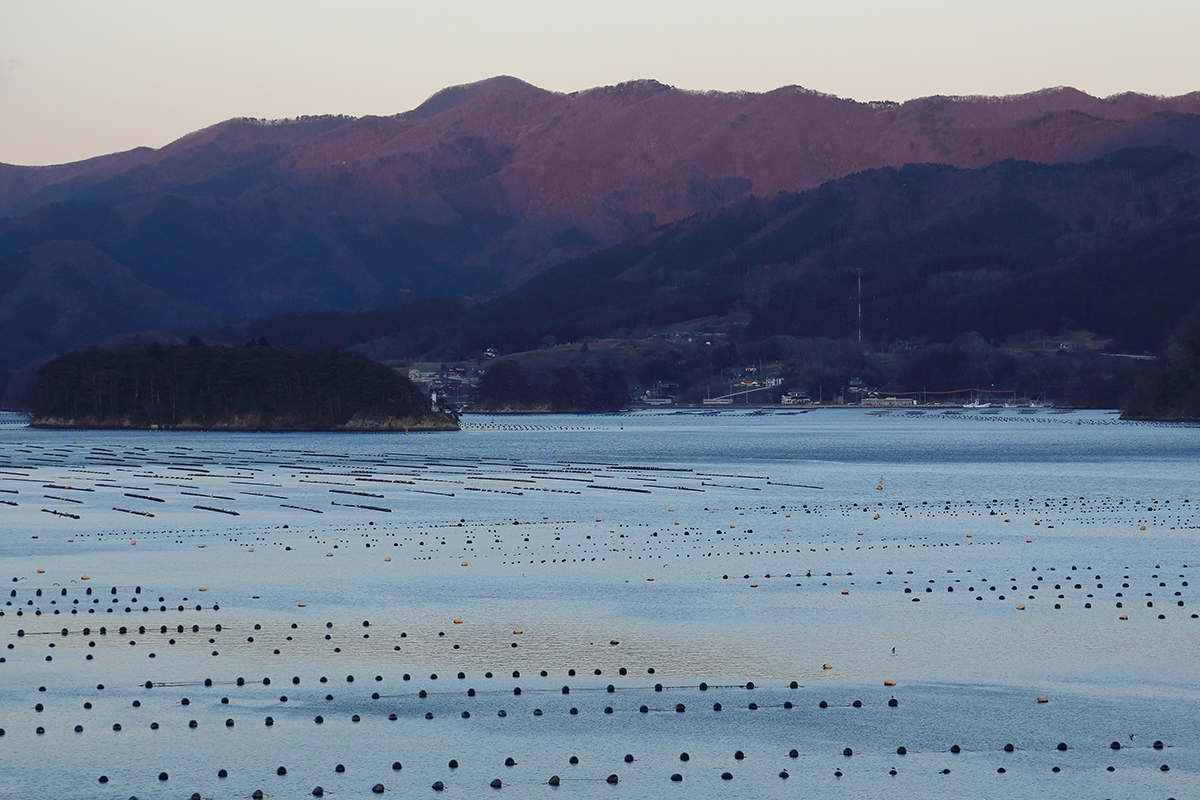 Jomon Fieldwork Tracing Ten Thousand Years of Remembrances - Nao Tsuda