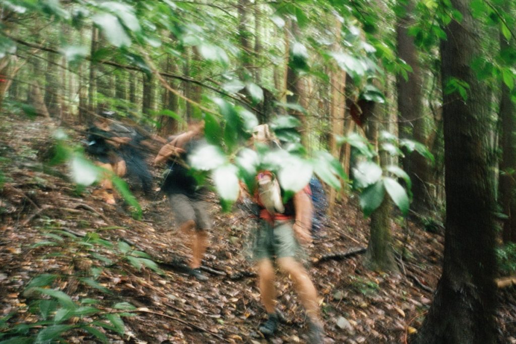 Katsuo Trail Learning - PAPERSKY