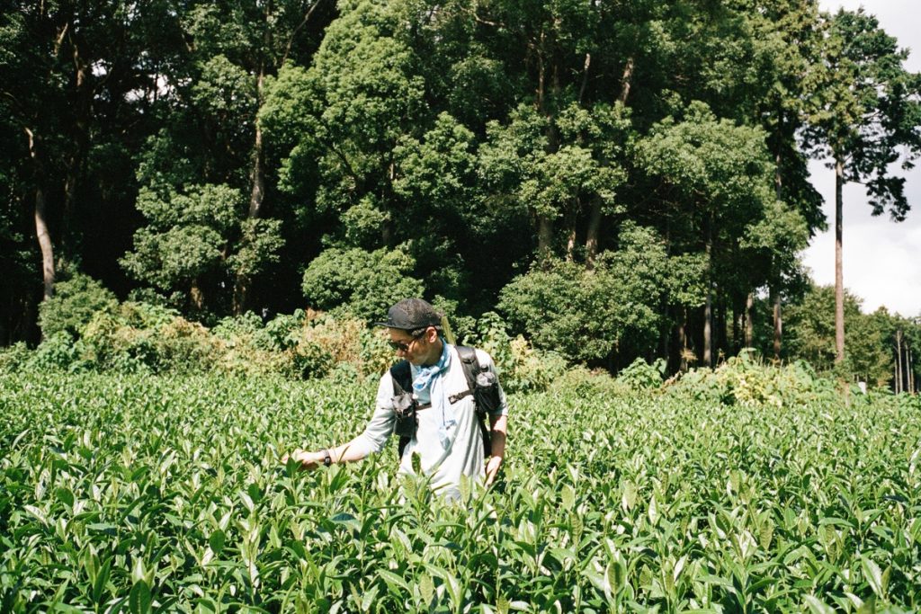 Katsuo Trail Learning - PAPERSKY