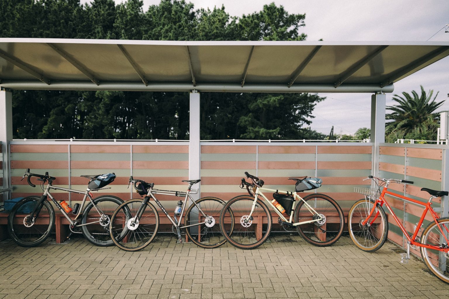 KATSUO TRAILは自転車旅もおもしろい 見どころ満載の大井川流域をライド！ - PAPERSKY