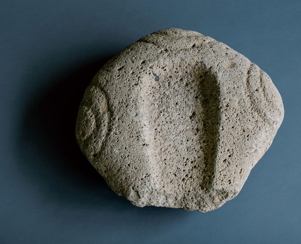 Jomon Fieldwork万年の記憶 - 津田直