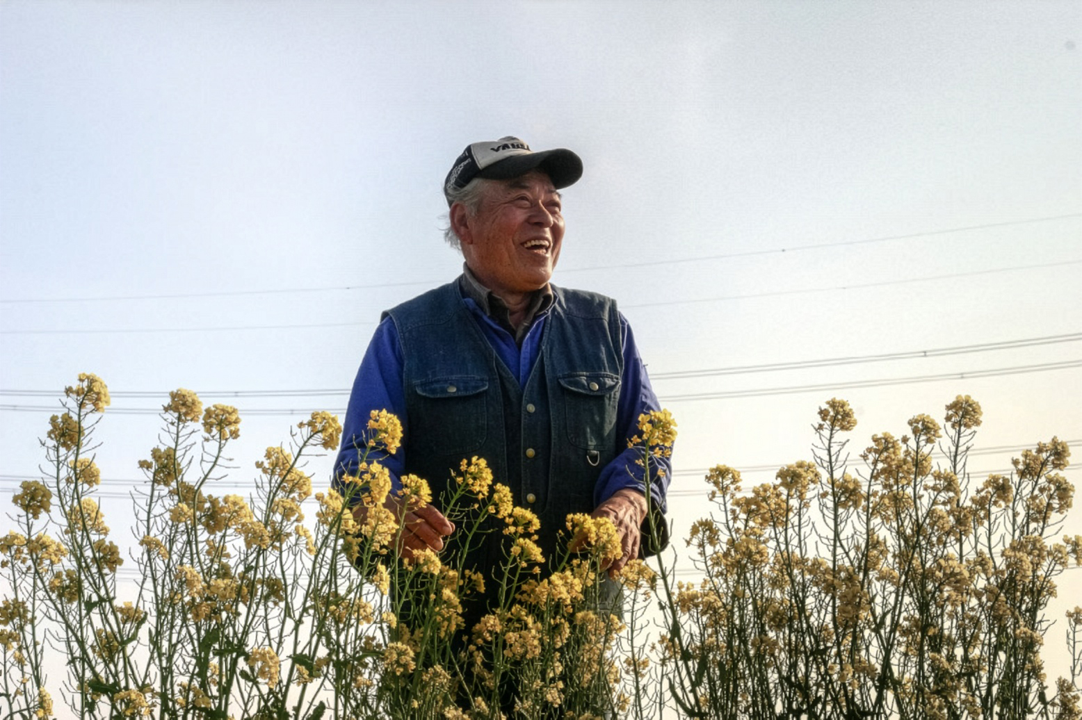 Shizenshoku / Kozaki Natural Foods - PAPERSKY - CULTURE